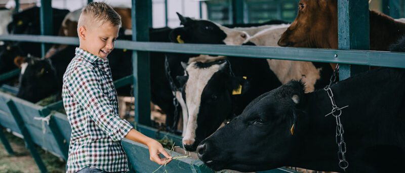 Agricultural Loans 101 | What to know about our Ag Lending Process